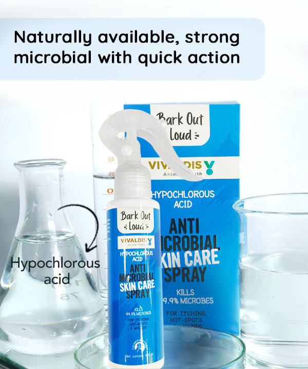 Antimicrobial Skin Care Spray - Best Skin Allergy Treatment for Dogs ...